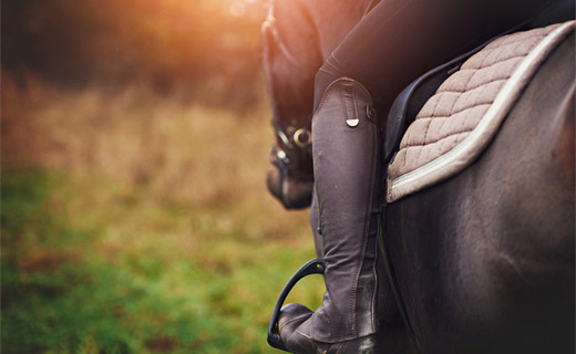 5 Horse Riding Tips for Beginners