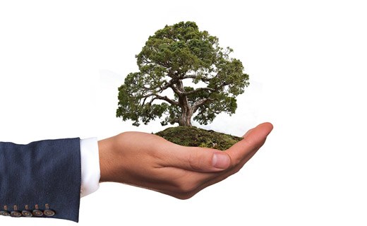 The 10 eco-friendly certificates to focus on